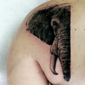 25 Elephant Tattoo Ideas, Best Designs, Unique, Mind Blowing, Cute and ...